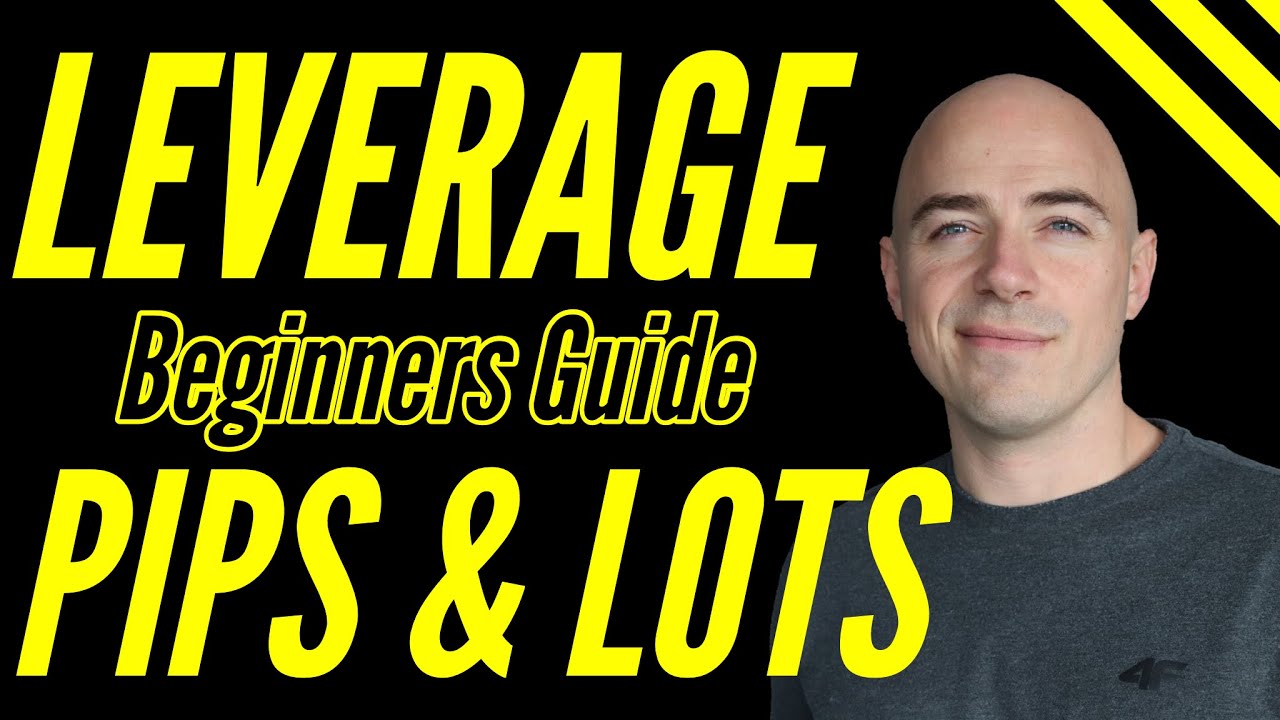 Discovering the Perfect Forex Lot Size for Beginner Traders: Your ...